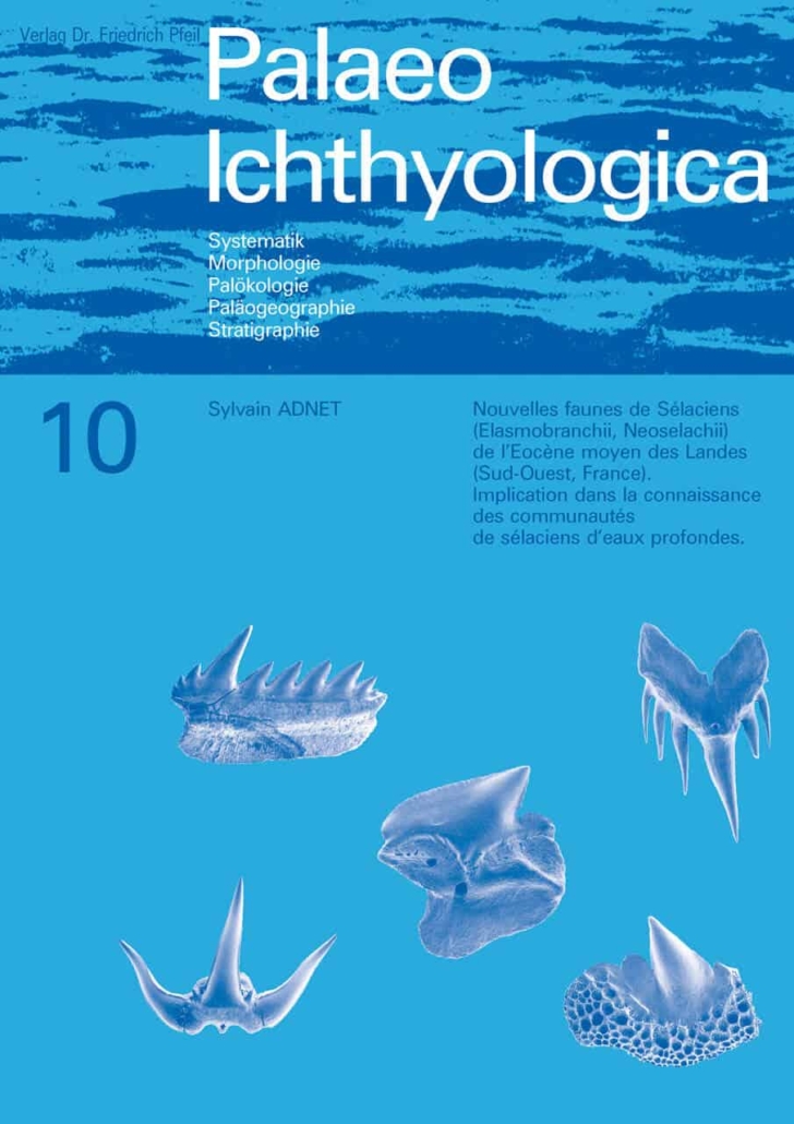 Nouvelles faunes de Sélaciens (Elasmobranchii, Neoselachii) - Dr ...